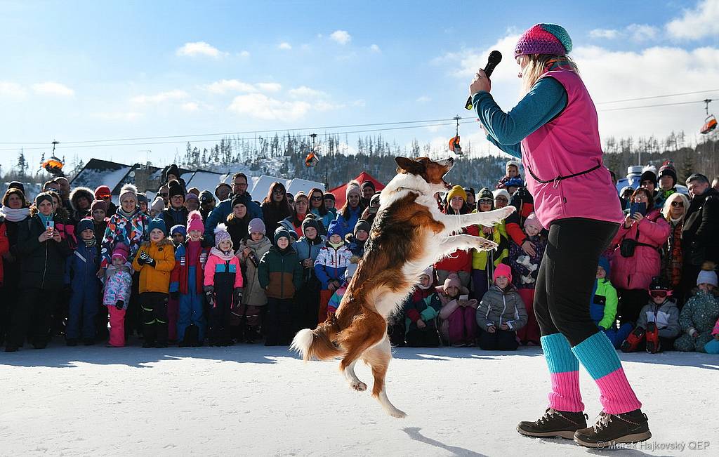 Snežné psy 2026